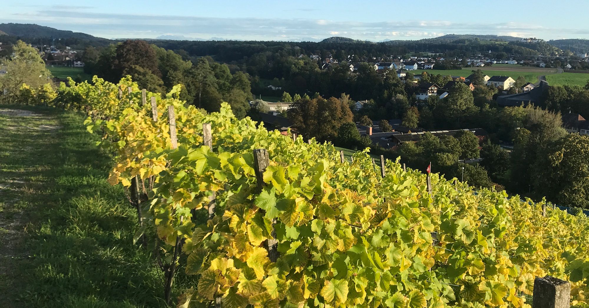 Museumswald - Schloss Wildegg